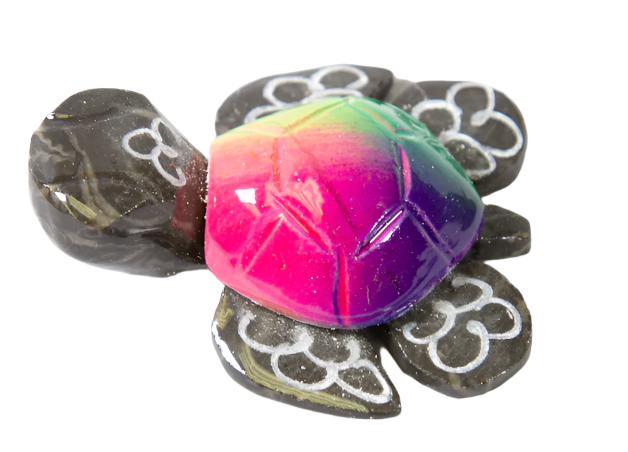 Multicolor Marble Turtle – ripleysaquariumstore