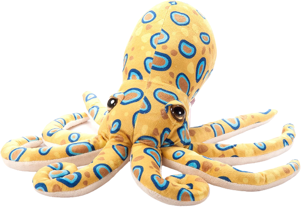14" Blue Ring Octopus – ripleysaquariumstore