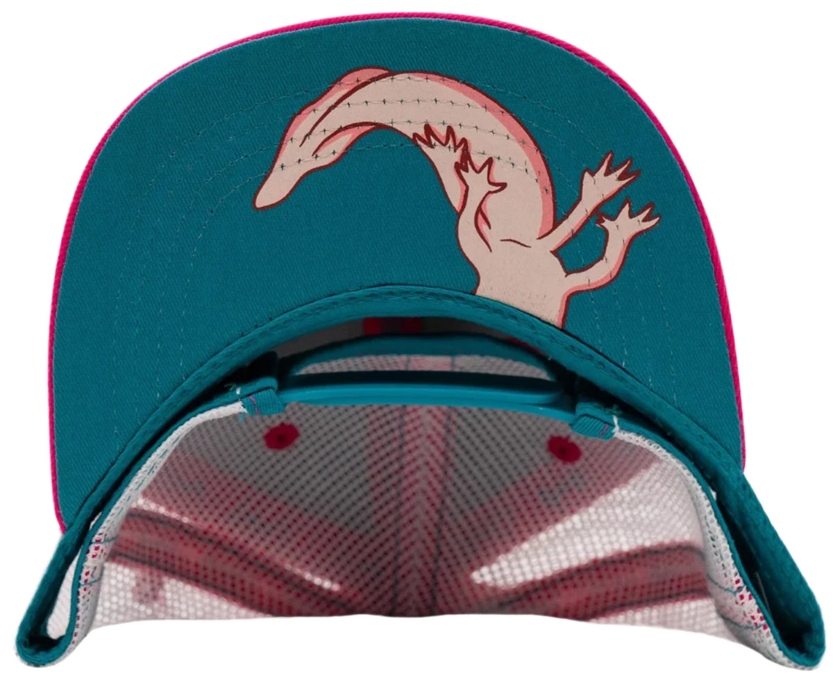 Kids Axolotl Snapback Hat – ripleysaquariumstore