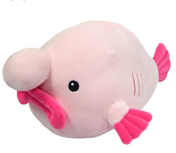 Toys & Plush – Page 4 – ripleysaquariumstore