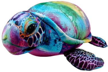 14.5" Real Colorful Turtle – ripleysaquariumstore